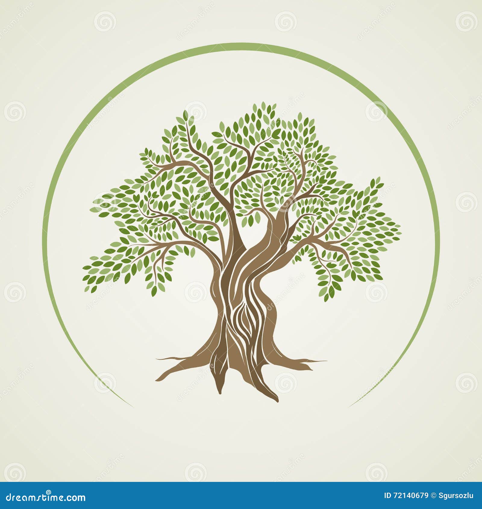 Ejemplo Del Vector Del Olivo Ilustración del Vector - Ilustración de ...
