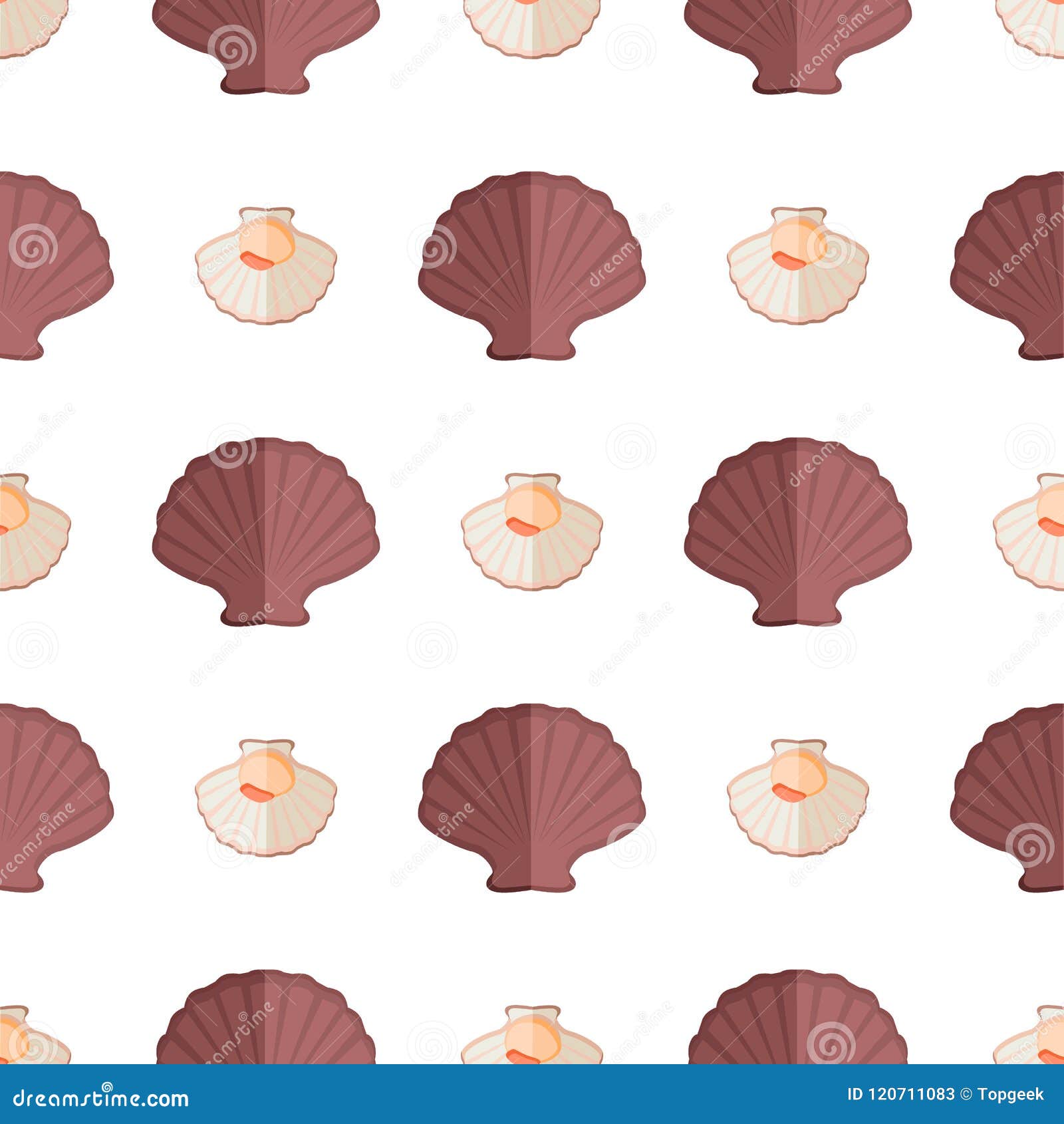 Ejemplo Del Vector Del Modelo De Shell Y Del Molusco Ilustración del ...