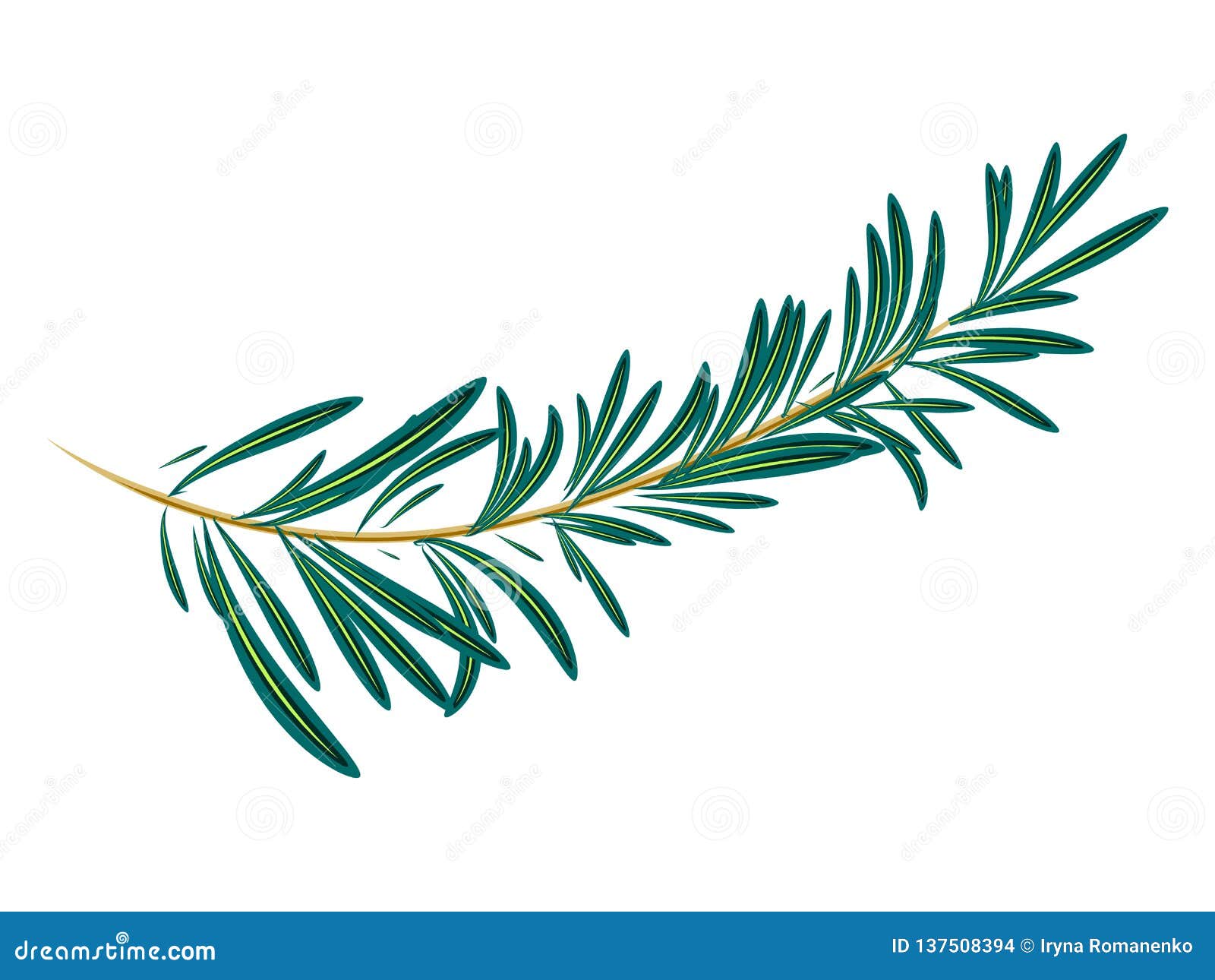 Ejemplo Del Vector Del Romero Verde Ilustración del Vector ...