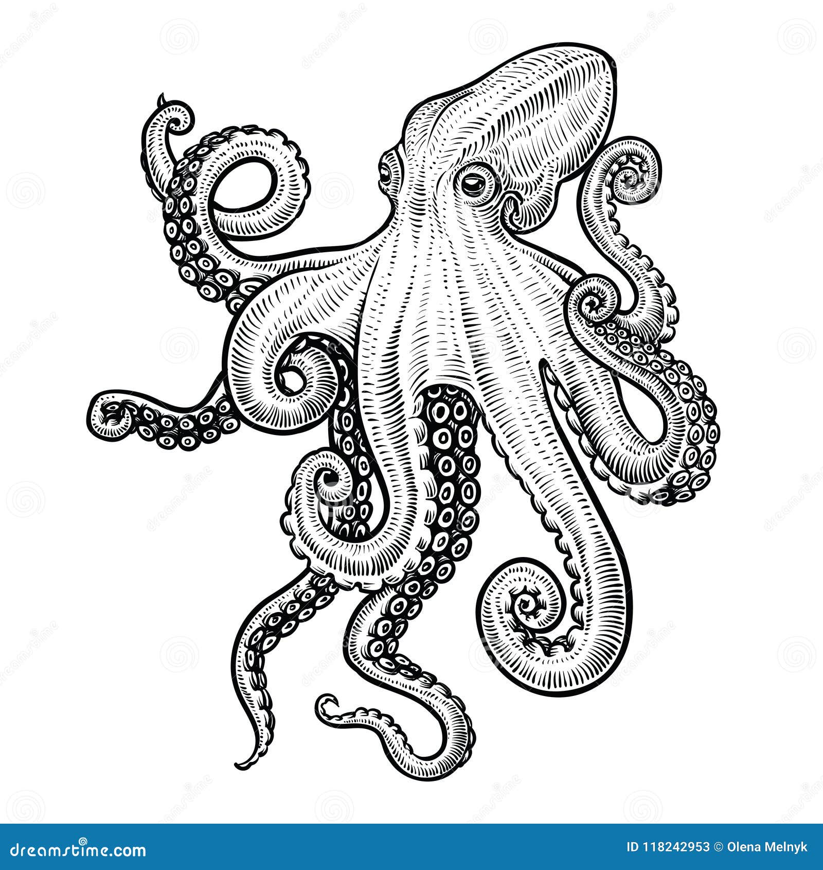 Ejemplo Dibujado Mano Del Vector Del Pulpo Ilustración del Vector ...