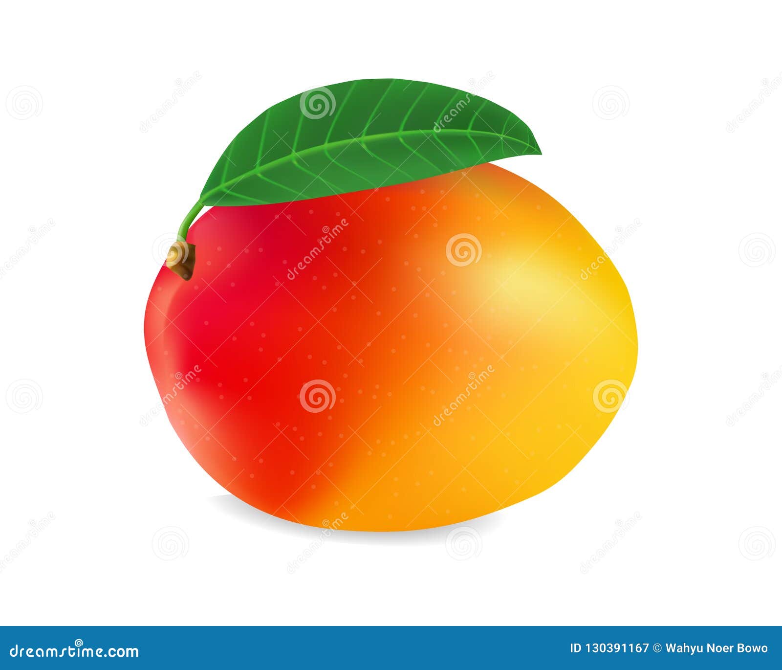 Ejemplo Realista Del Vector De La Fruta Del Mango Ilustración del ...