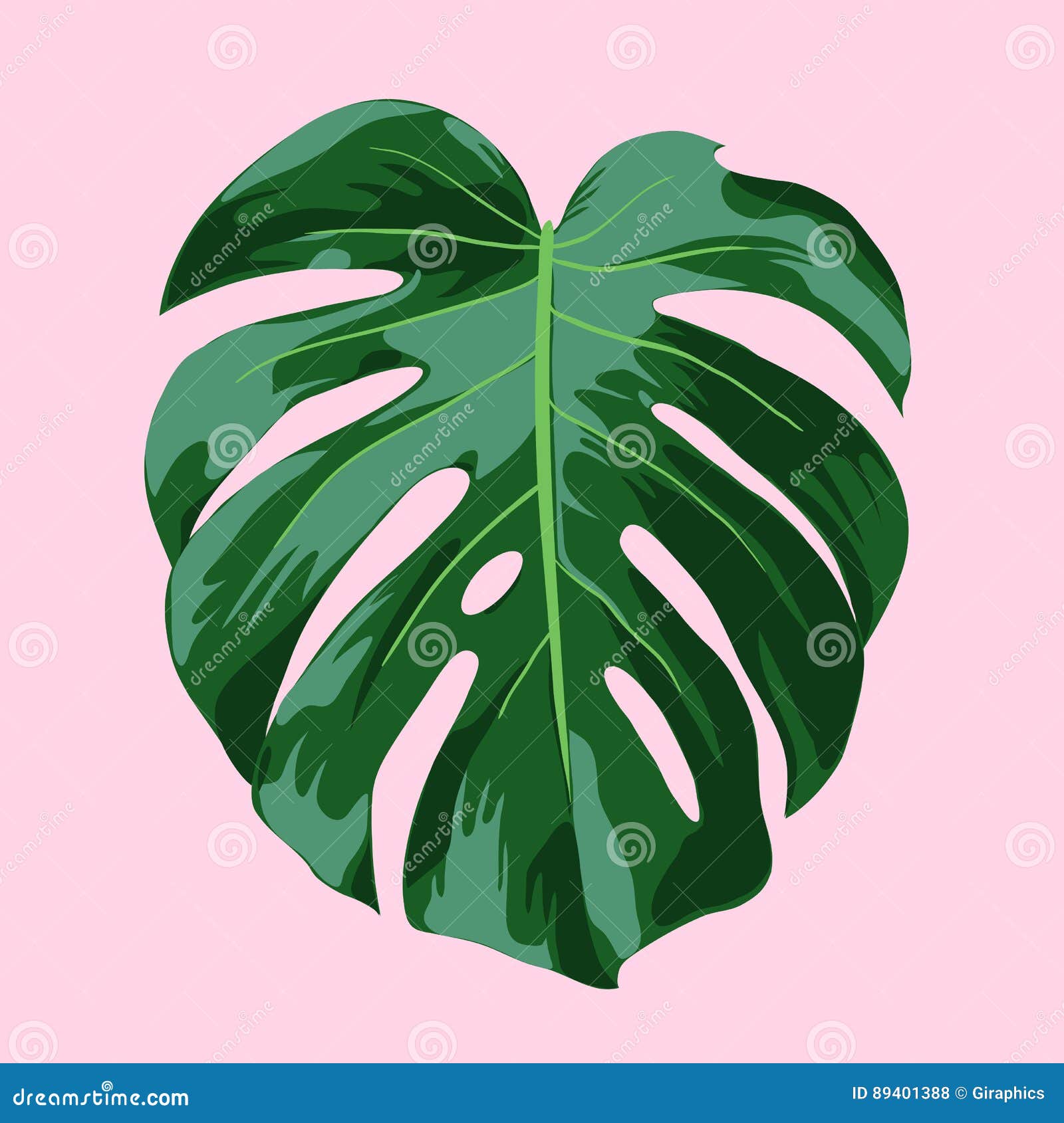 Ejemplo Tropical De La Hoja De Monstera Ilustración del Vector ...