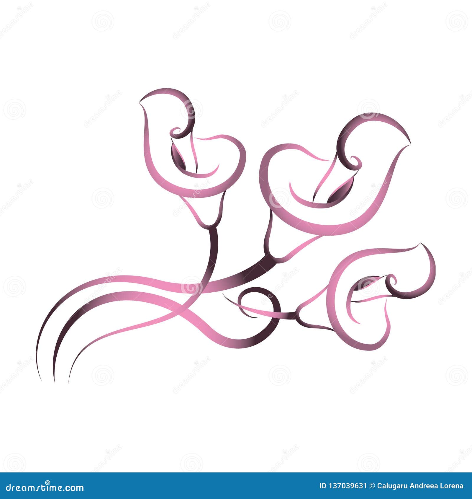 Ejemplos de la cala ilustración del vector. Ilustración de floral ...