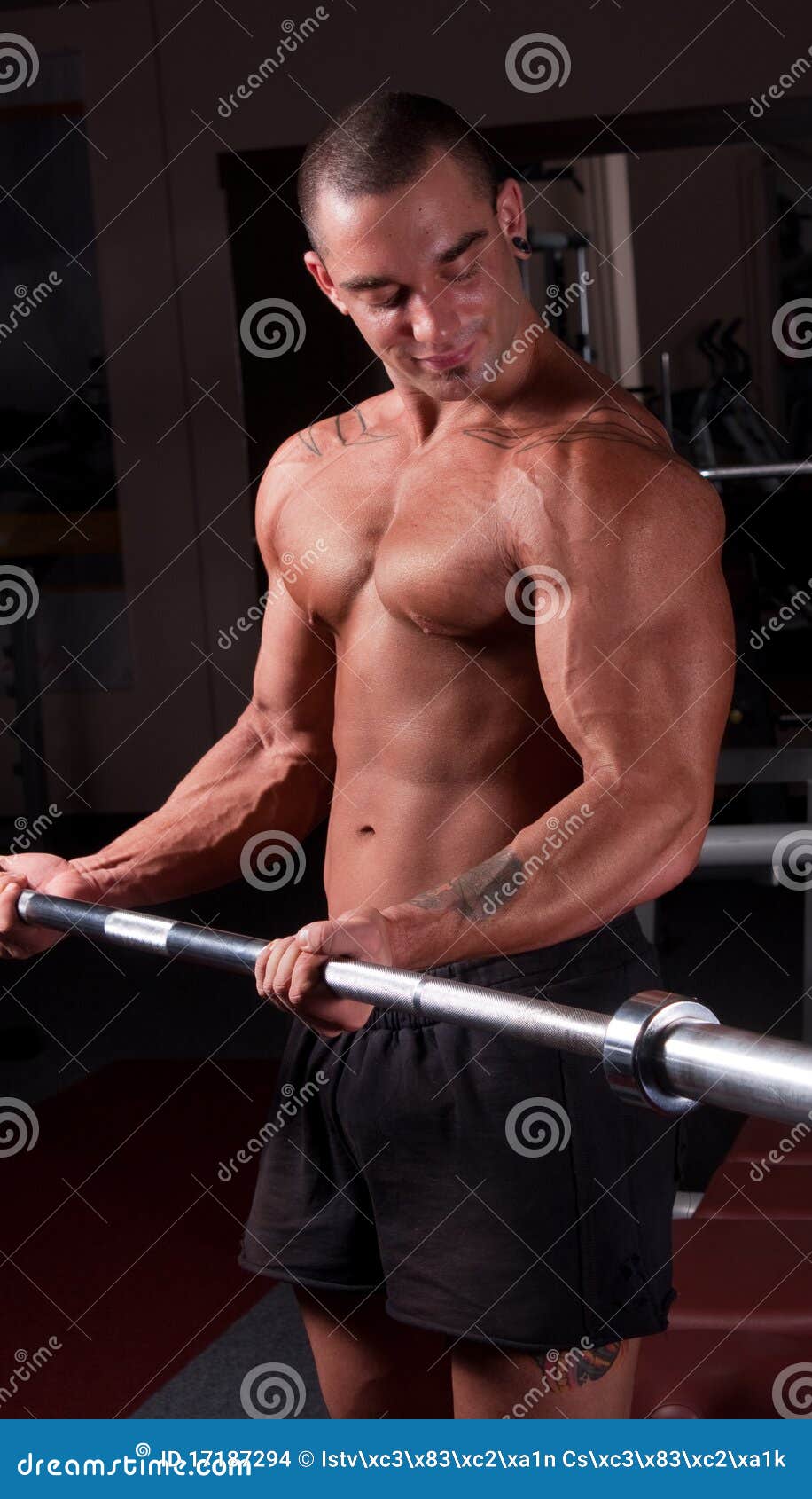 Ejercicio del Bodybuilder foto de archivo. Imagen de gimnasio - 17187294