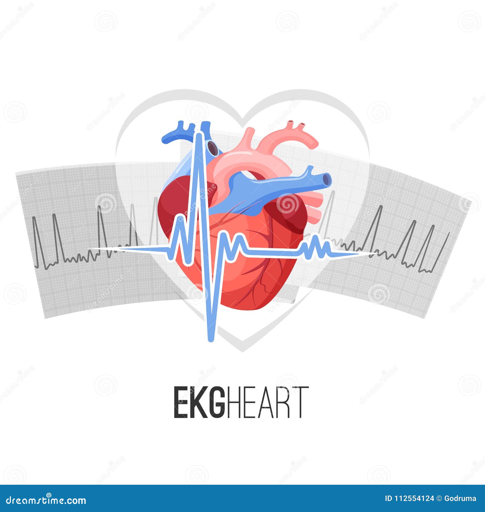 EKG Readings on Paper and Human Heart Promo Emblem Stock Vector ... EKG Readings on Paper and Human Heart Promo Emblem Stock Vector ...