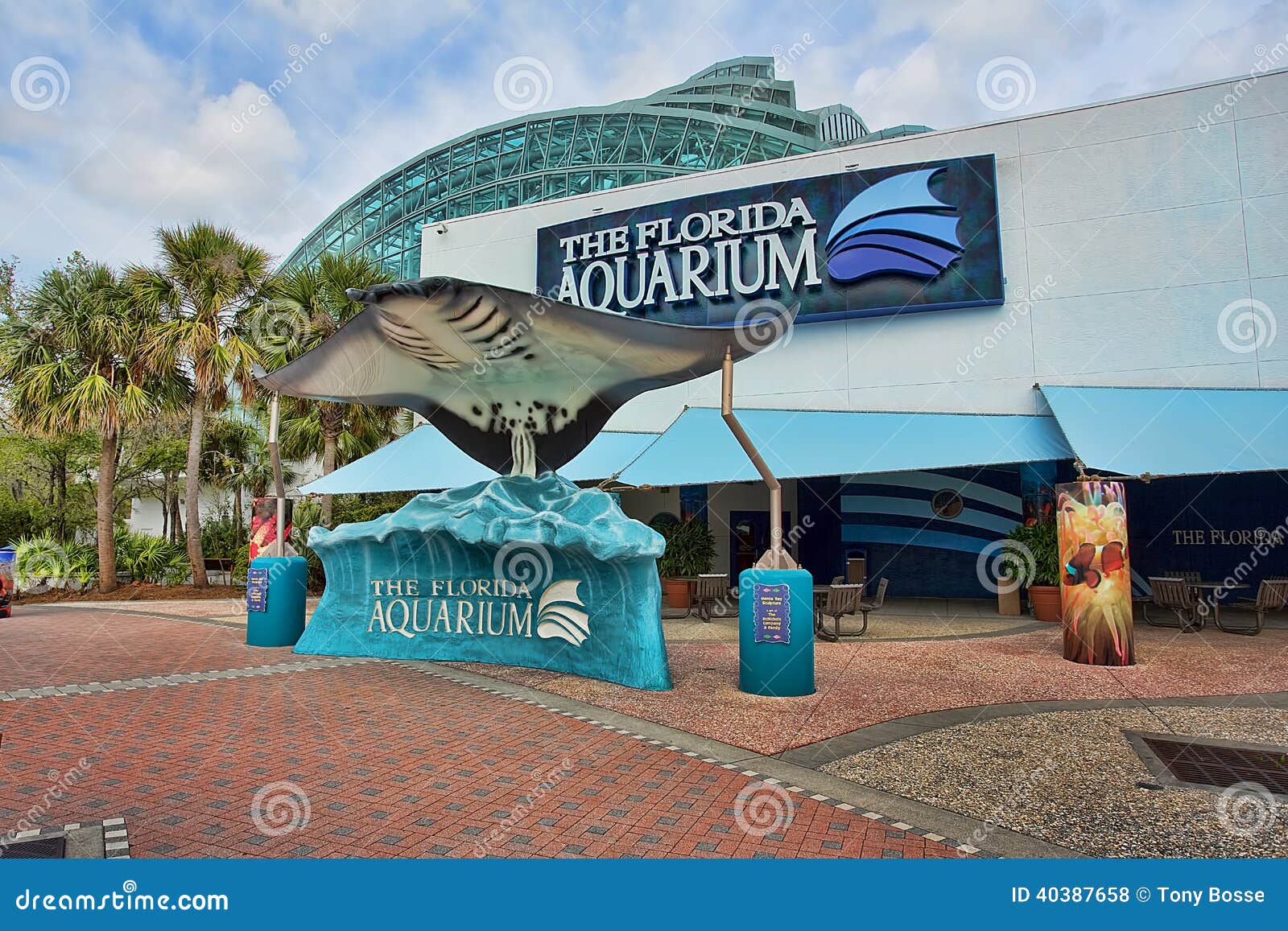 Mapa Del Acuario De Florida Acuario Da La Bienvenida A Tortugas