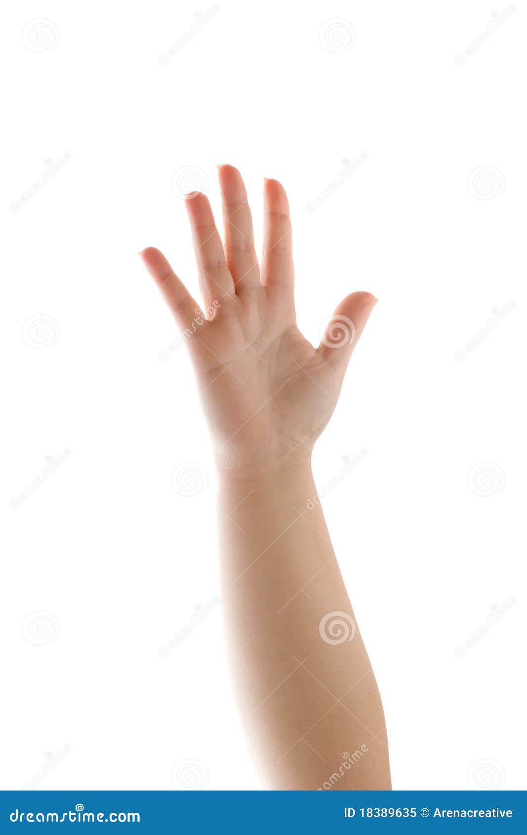 El Agitar Humano De La Mano Aislado Imagen de archivo - Imagen de ...