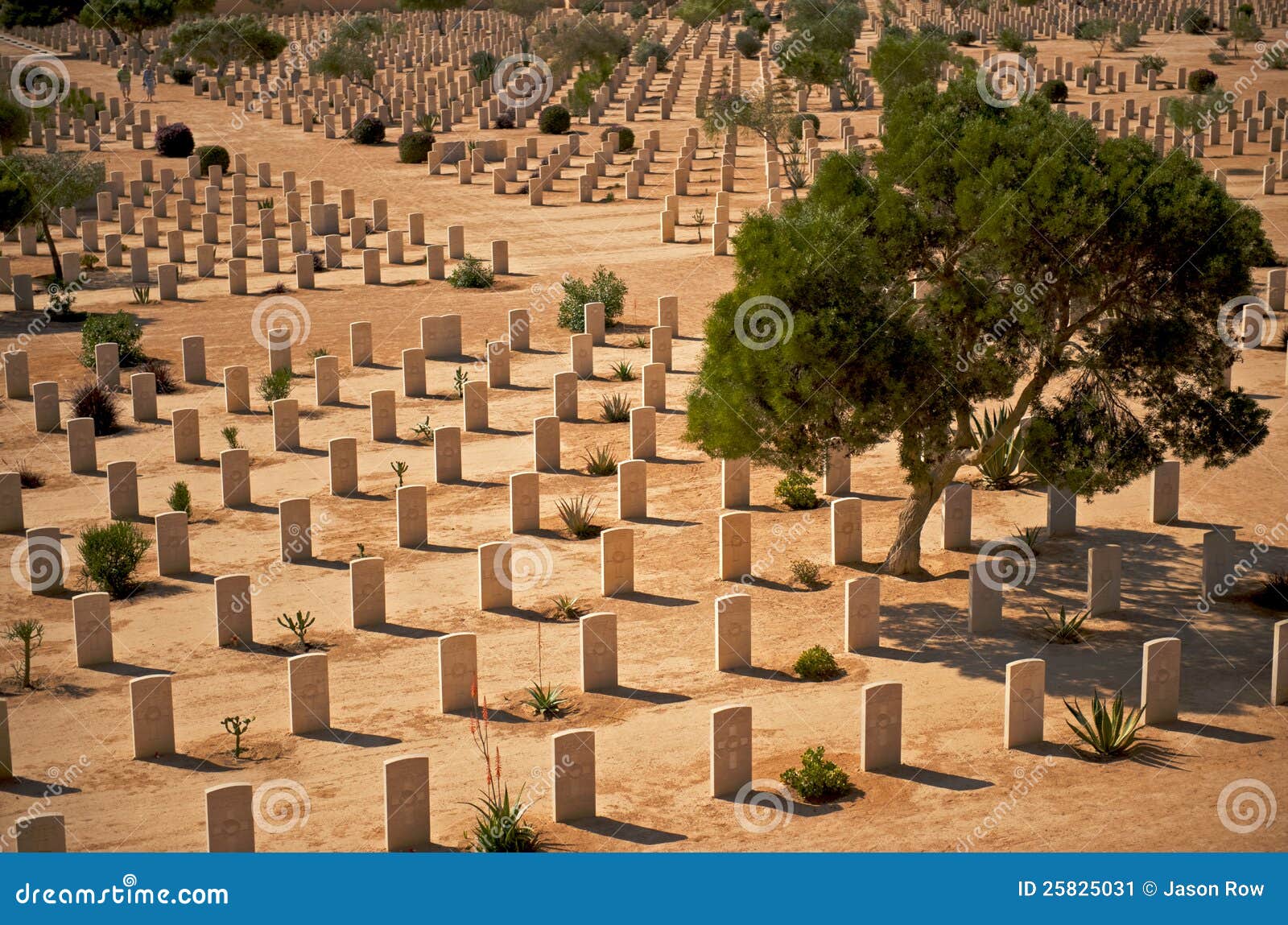 El Alamein editorial photo. Image of grave, alamein, soldiers - 25825031