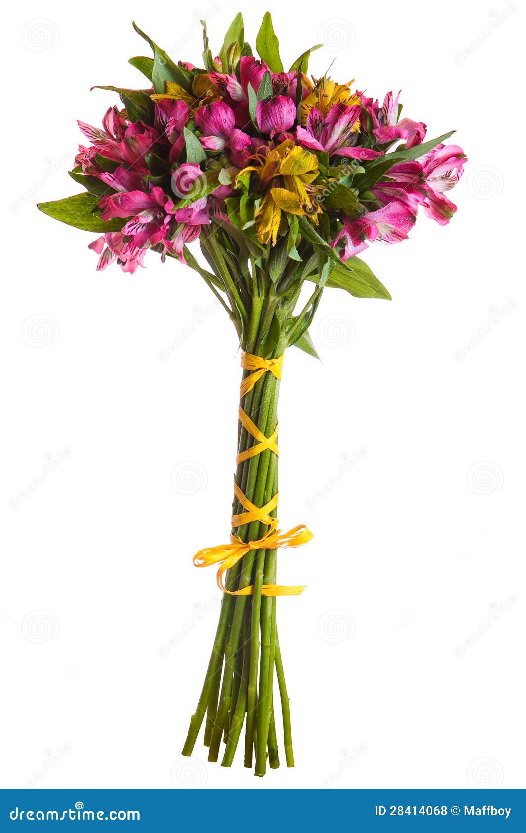 El Alstroemeria Florece El Ramo Aislado Foto de archivo - Imagen de ...