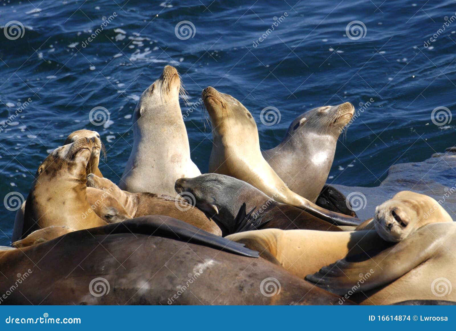 El asolear foto de archivo. Imagen de océano, cubo, amanecer - 16614874