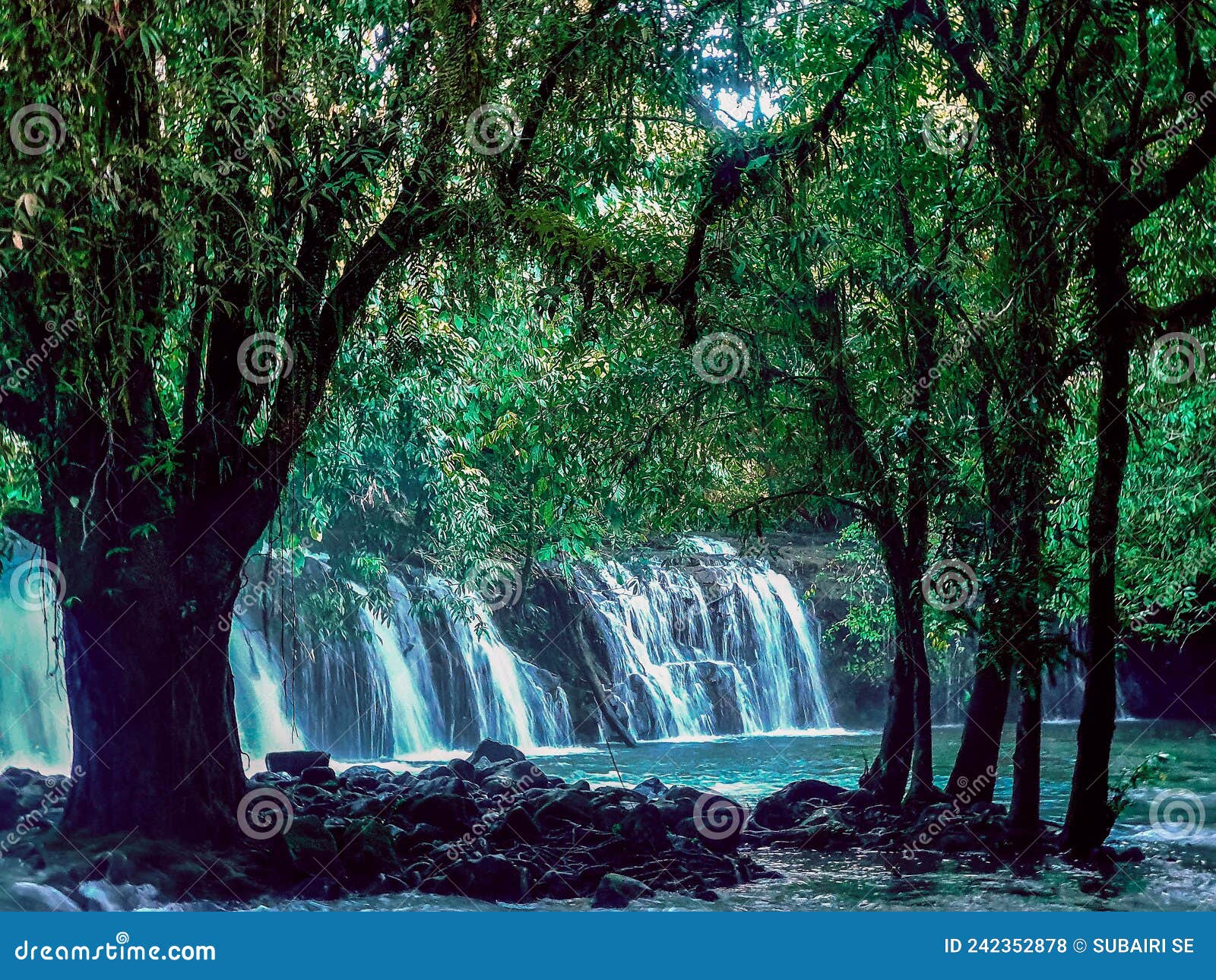 El bello mundo foto de archivo. Imagen de arbolado, mundo - 242352878