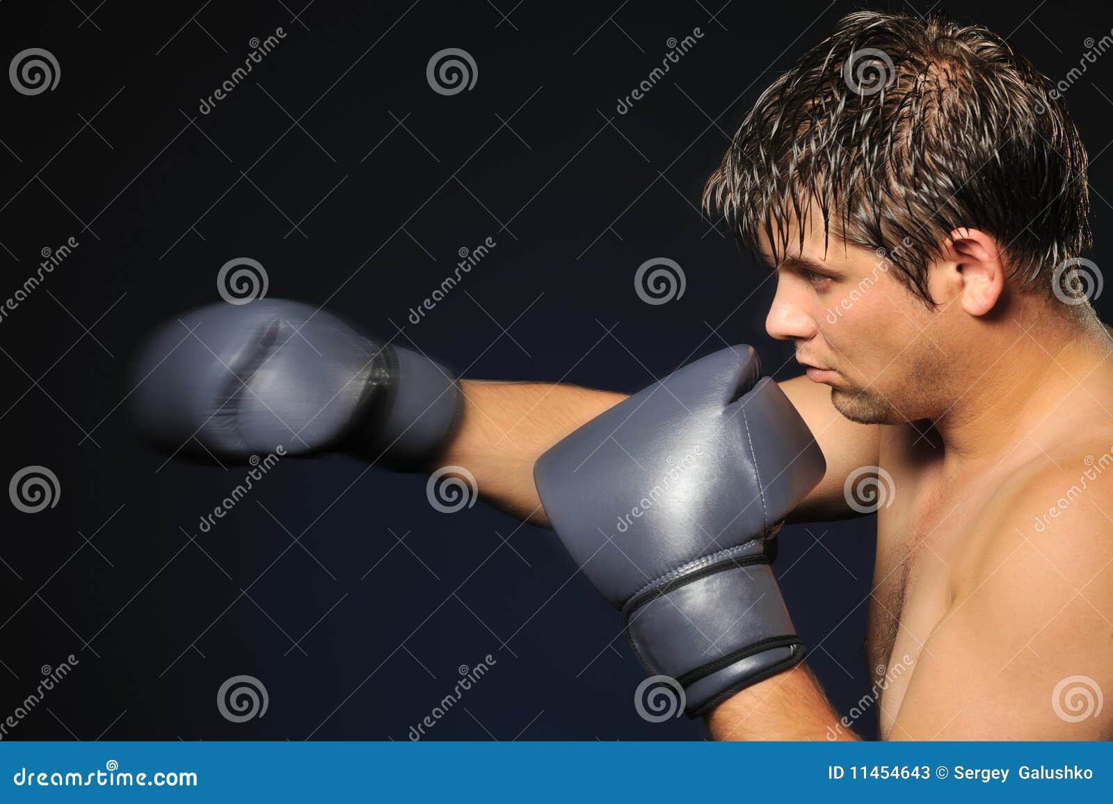 El boxeador imagen de archivo. Imagen de azul, hombres - 11454643