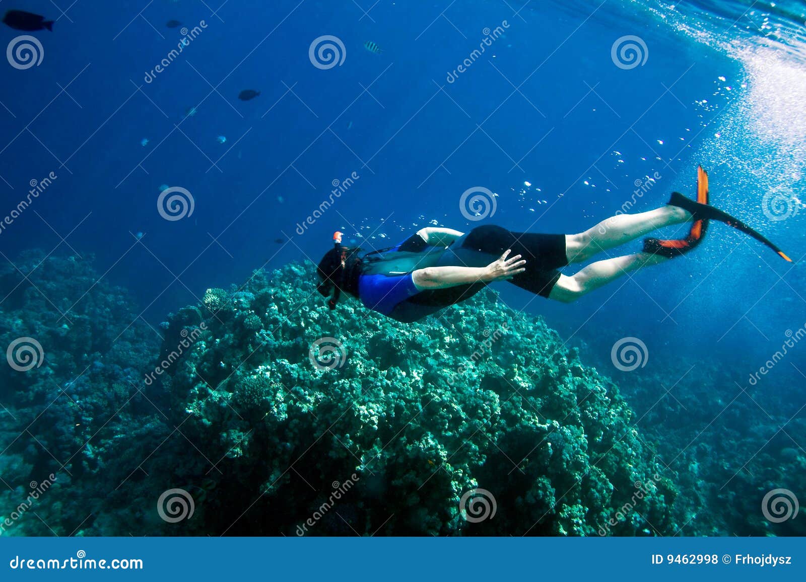 El bucear foto de archivo. Imagen de exterior, grupo, pescados - 9462998