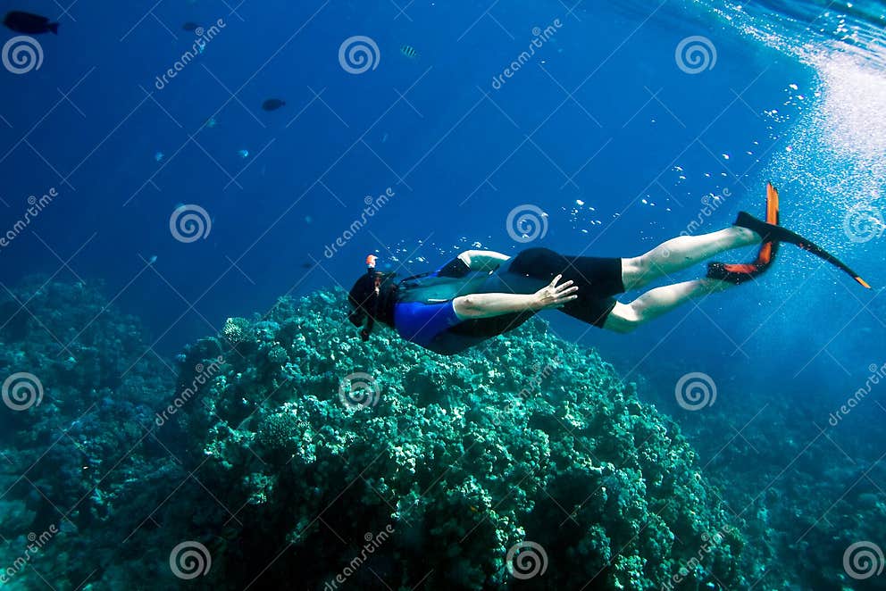 El bucear foto de archivo. Imagen de exterior, grupo, pescados - 9462998