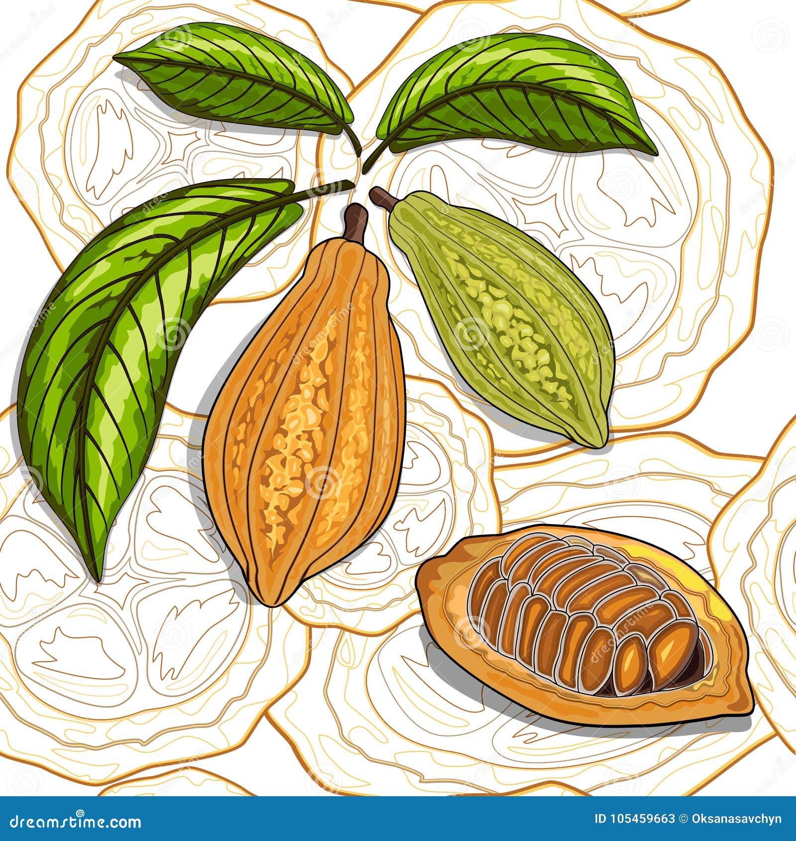 El cacao da fruto ejemplo ilustración del vector. Ilustración de negro ...