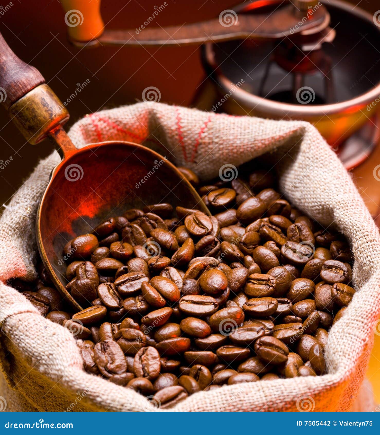 El café está en un saco foto de archivo. Imagen de germen - 7505442