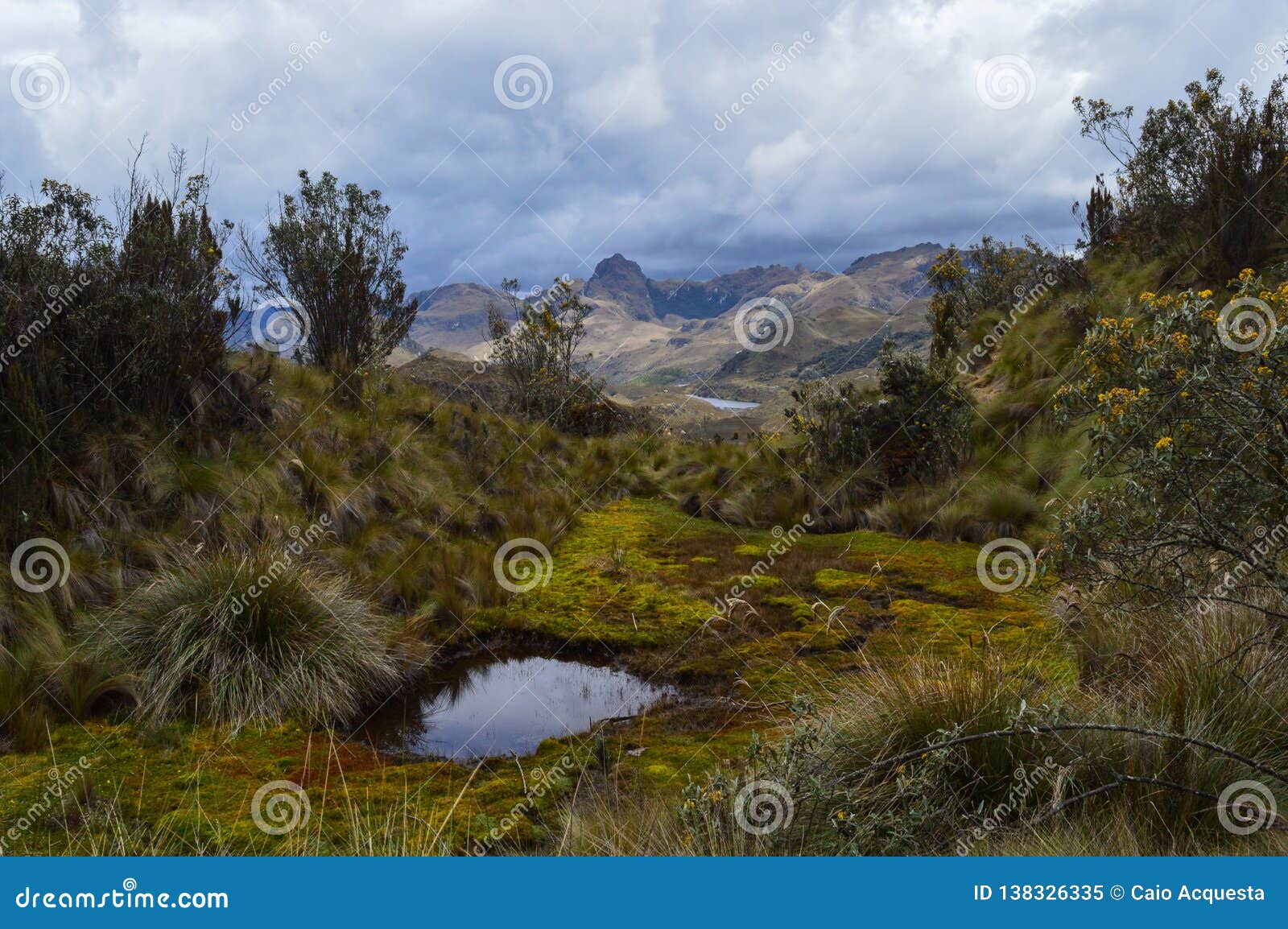 Ecuador Landscape Royalty-Free Stock Image | CartoonDealer.com #42775366