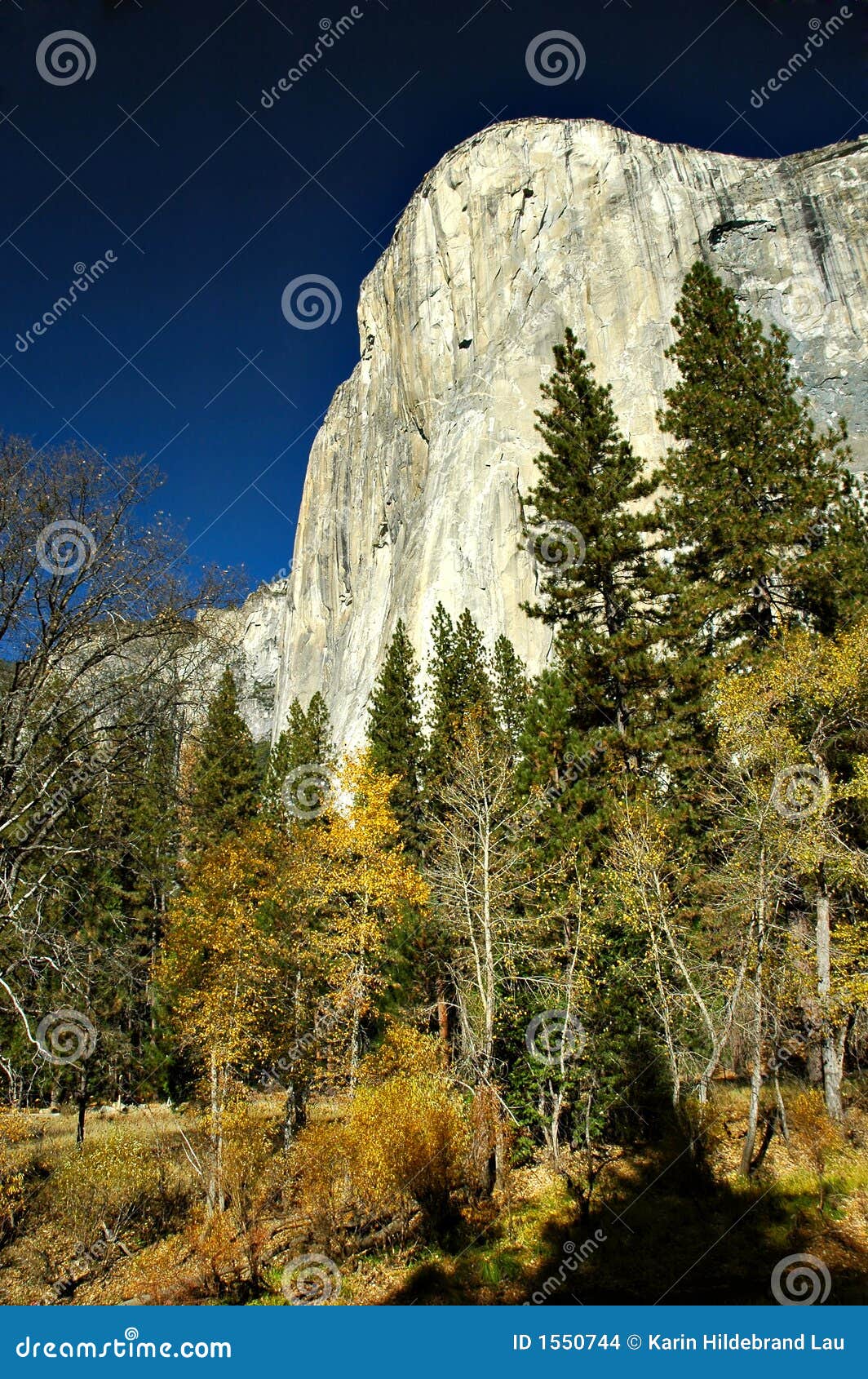 El Capitan stock photo. Image of november, seasonal, foliage - 1550744