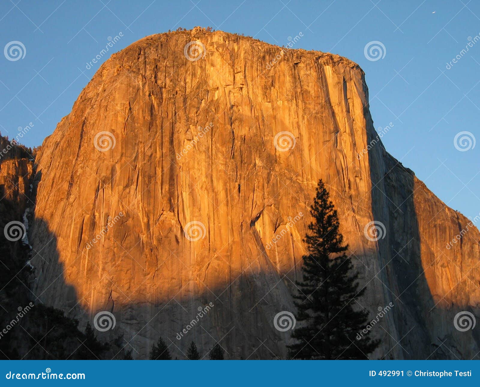 El Capitan stock image. Image of majestic, landscape, soaring - 492991