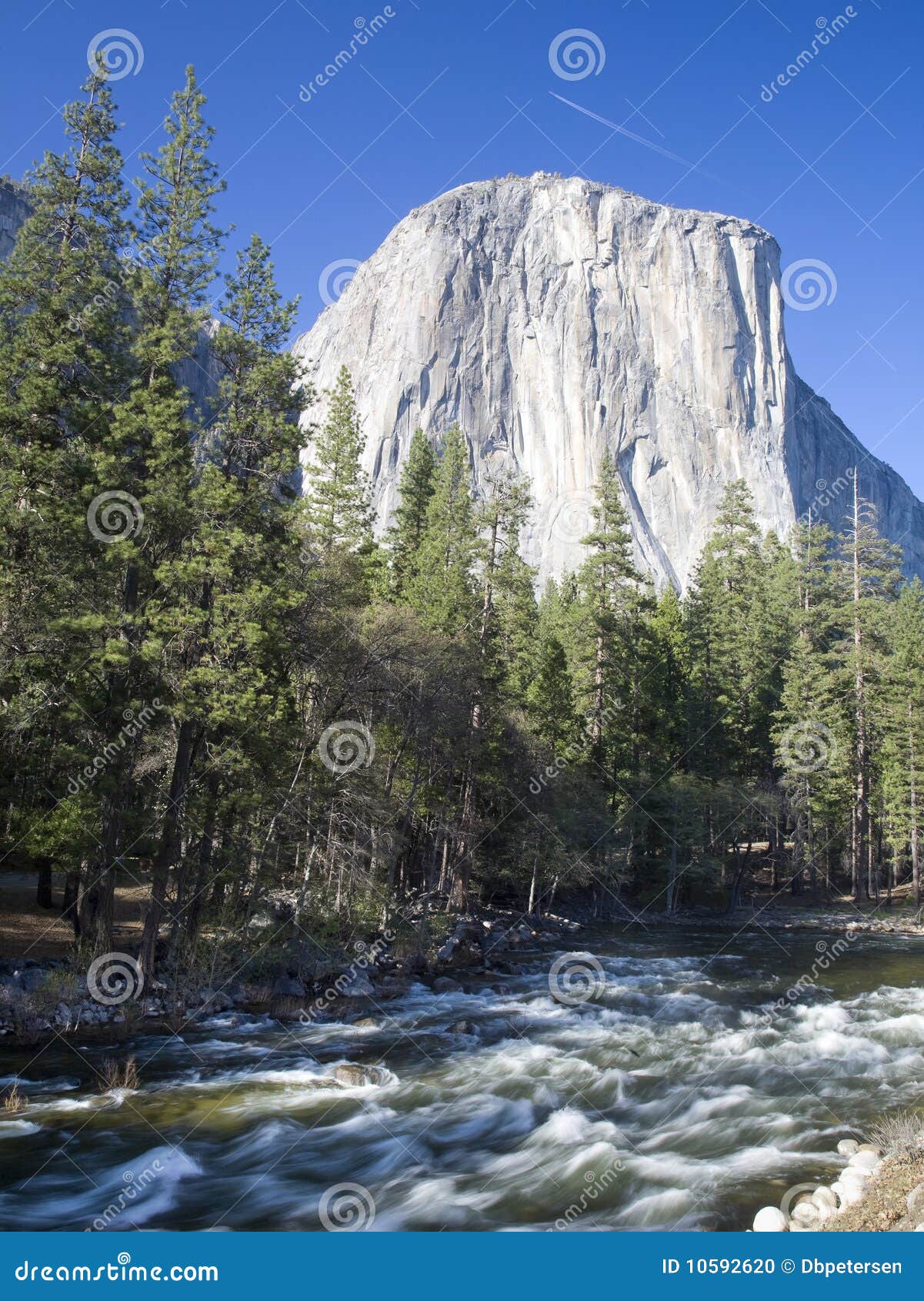El Capitan and the Merced River Stock Photo - Image of spring ...