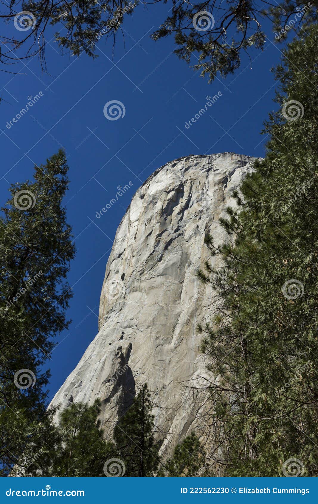 El Capitan Peak Seen through a Frame of Trees Stock Photo - Image of ...