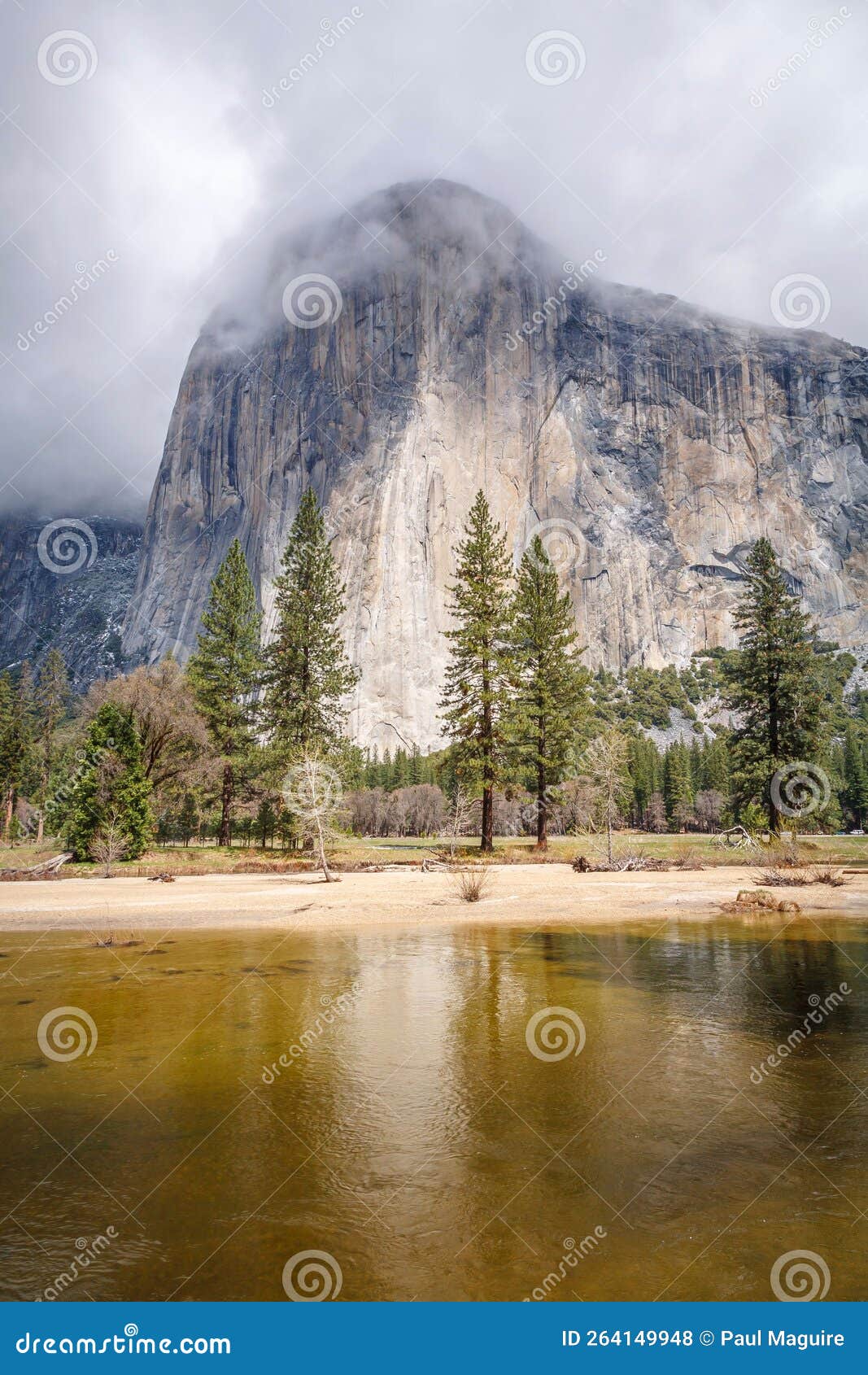 El Capitan Reflected in Merced River, Yosemite Valley Stock Photo ...