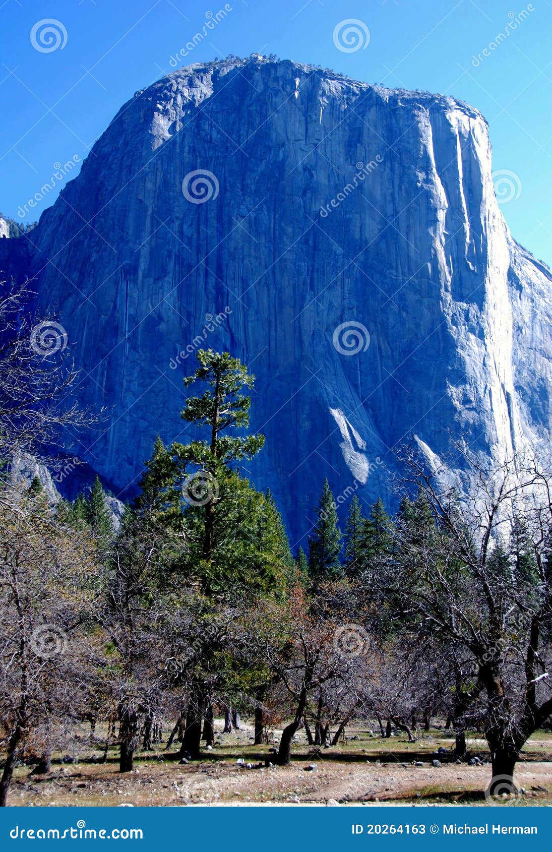 El Capitan rock stock image. Image of trees, nature, formation - 20264163