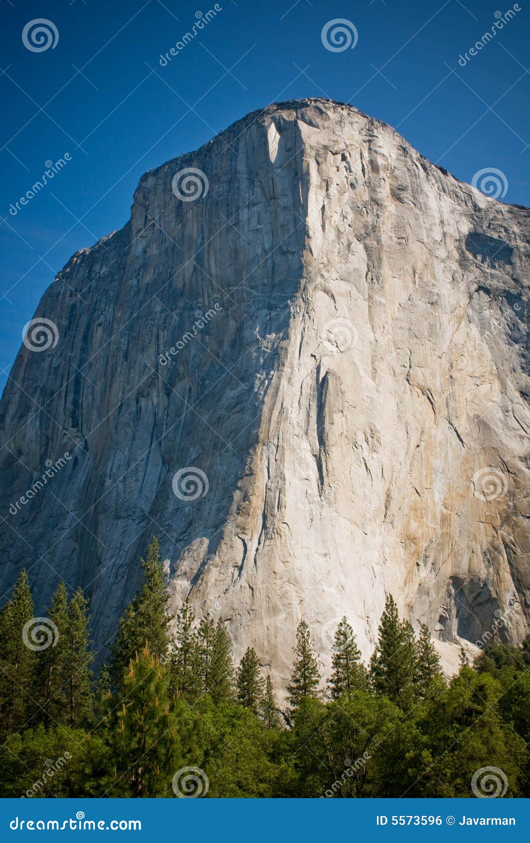 El Capitan Rock, Yosemite National Park Stock Photo - Image of national ...