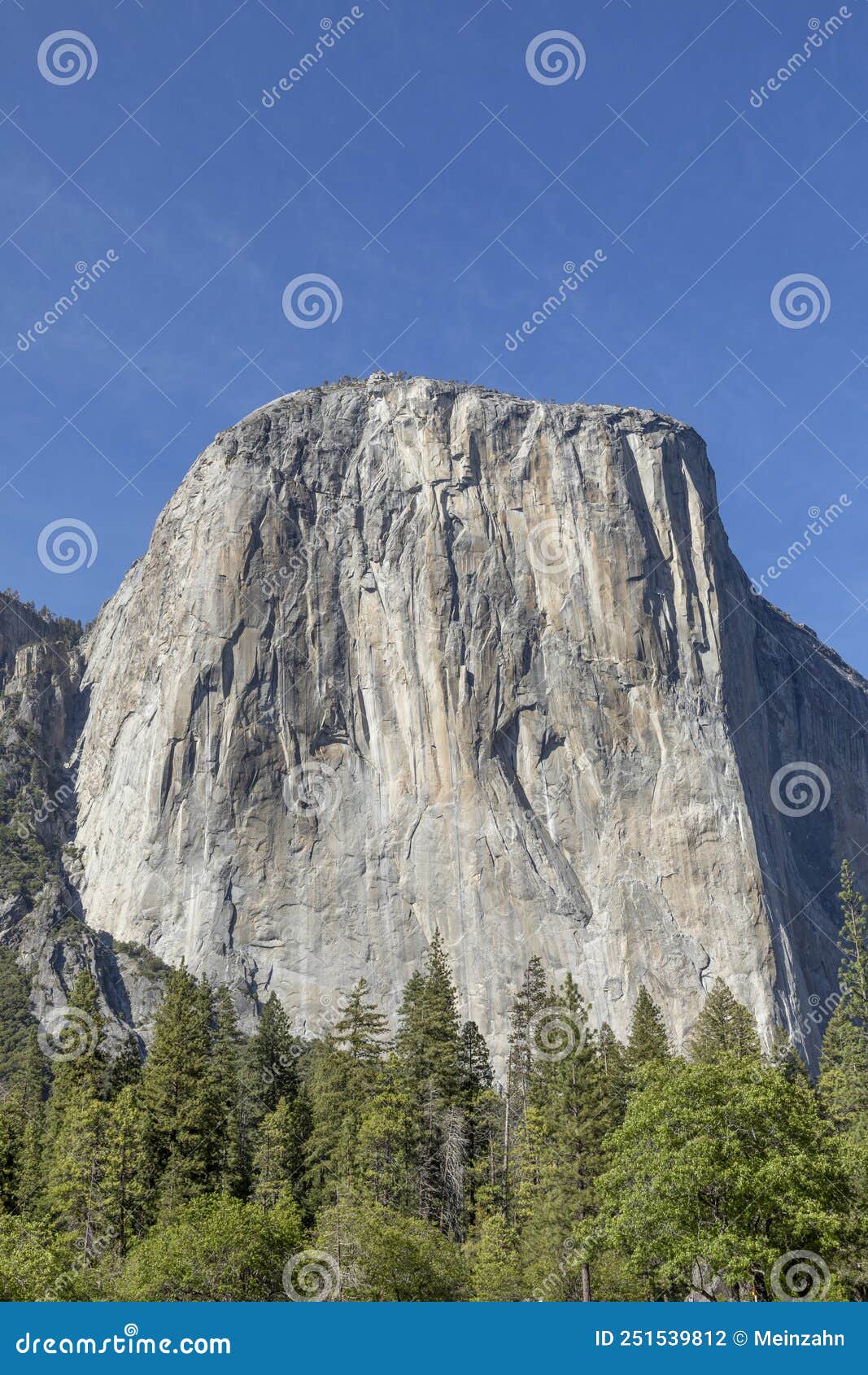 El Capitan Rock in Yosemite Valley Stock Photo - Image of forest ...