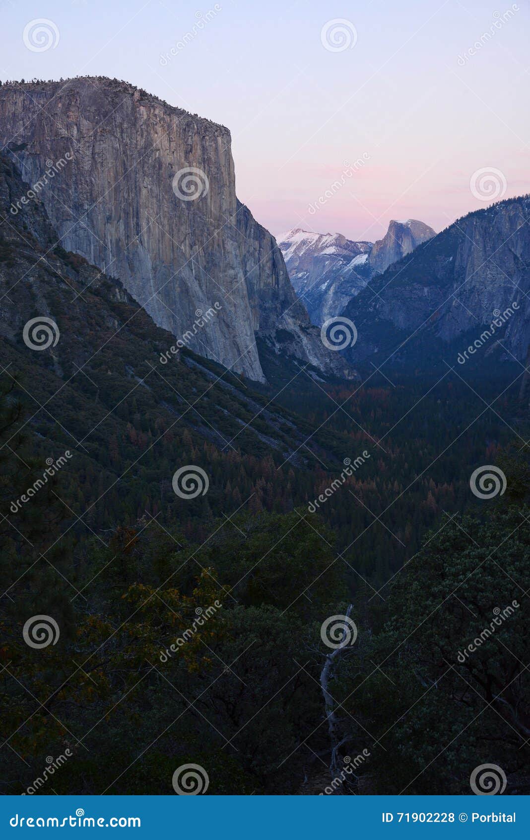 El Capitan stock photo. Image of pine, viewpoint, evening - 71902228