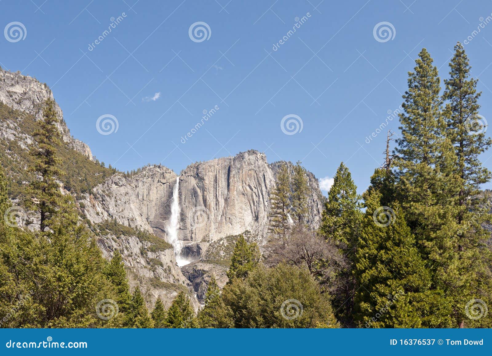 El Capitan Granite Cliff Face, Yosemite National Park Stock Image ...