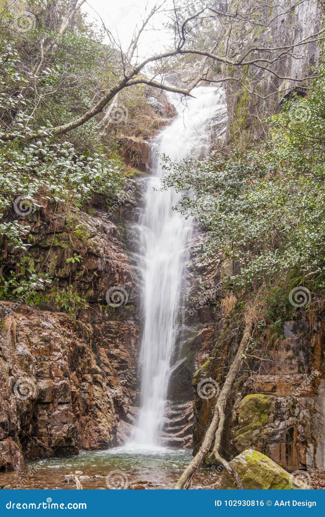 EL Chorro foto de stock. Imagem de parque, hazelnuts - 102930816