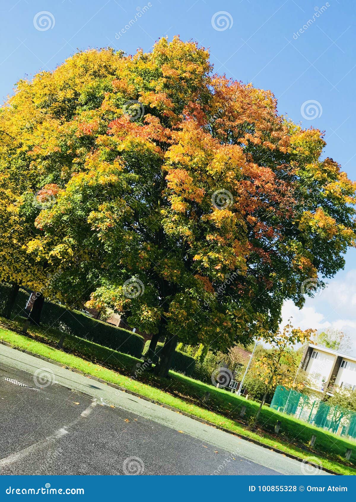 El Cielo Es Siempre Mi VECINDAD Foto de archivo - Imagen de resorte ...