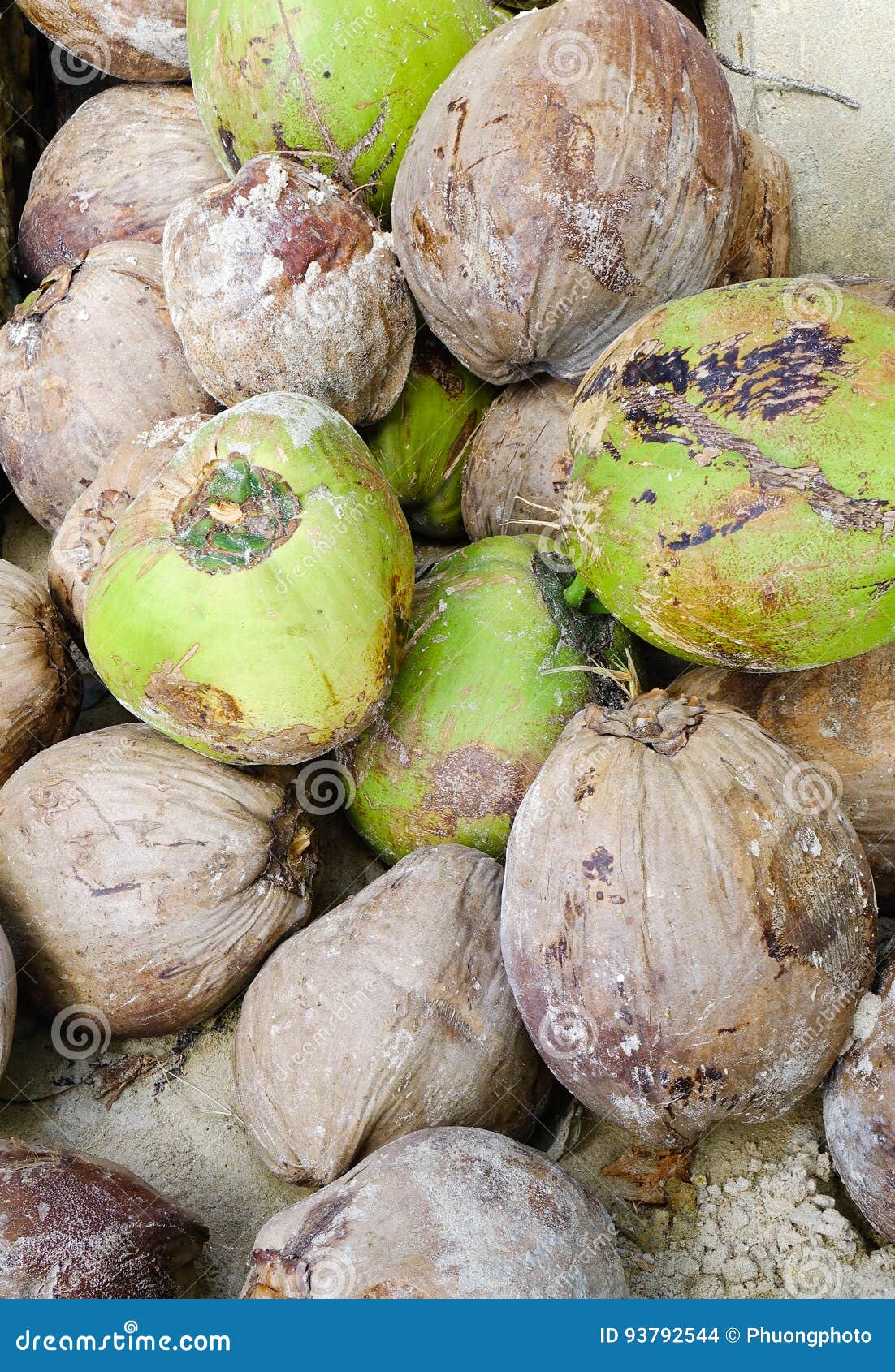 El Coco Secado Da Fruto Para La Venta En Un Mercado Foto de archivo ...
