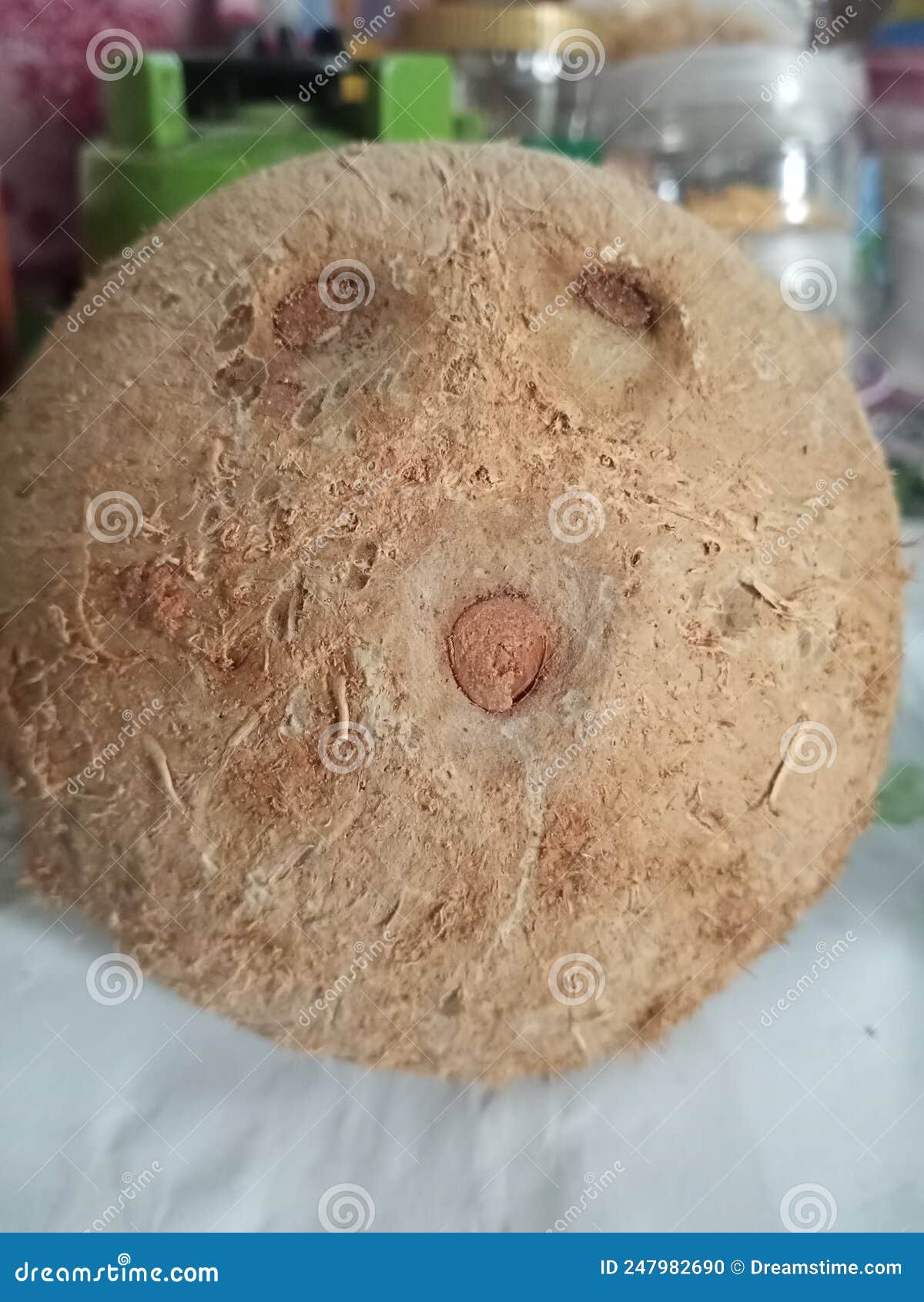 El coco tiene cara feliz foto de archivo. Imagen de planta - 247982690