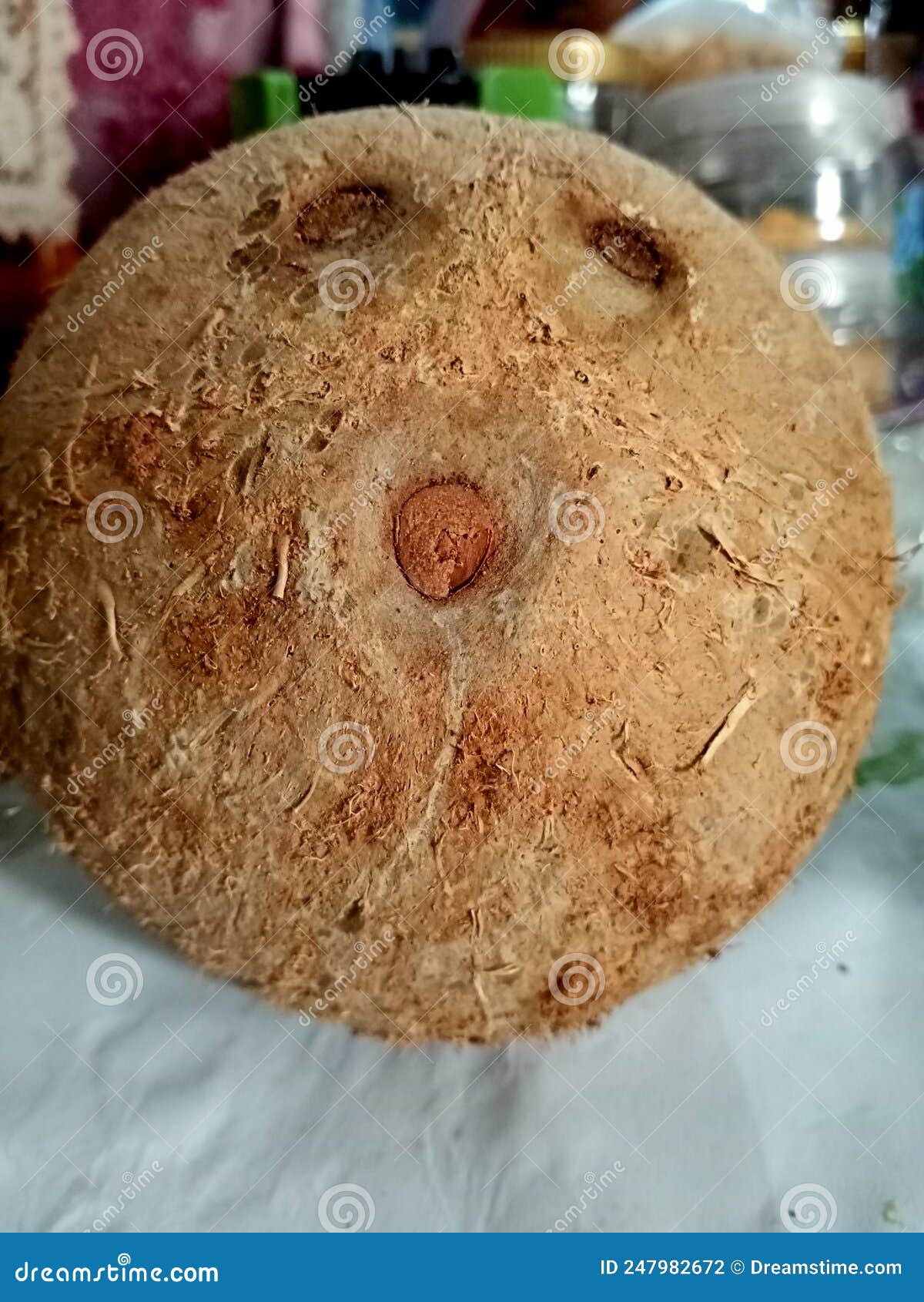 El Coco Tiene Un Rostro Humano Foto de archivo - Imagen de bocado ...