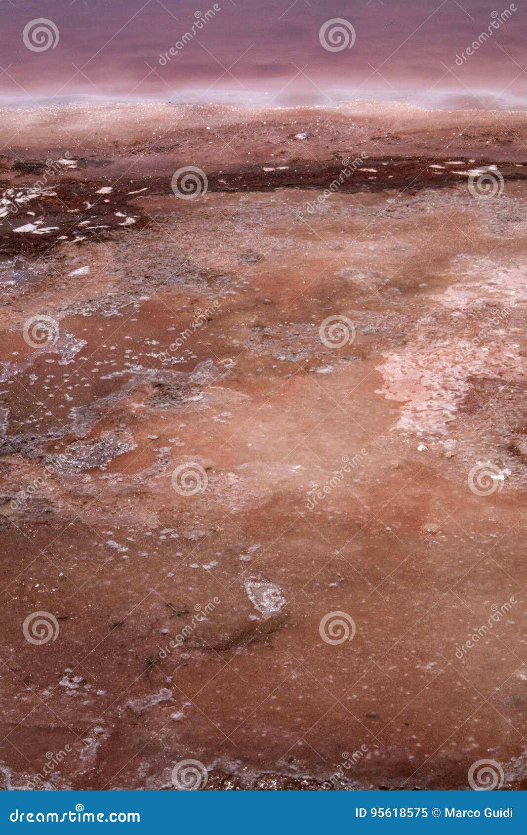 El color de la sal imagen de archivo. Imagen de alimento - 95618575