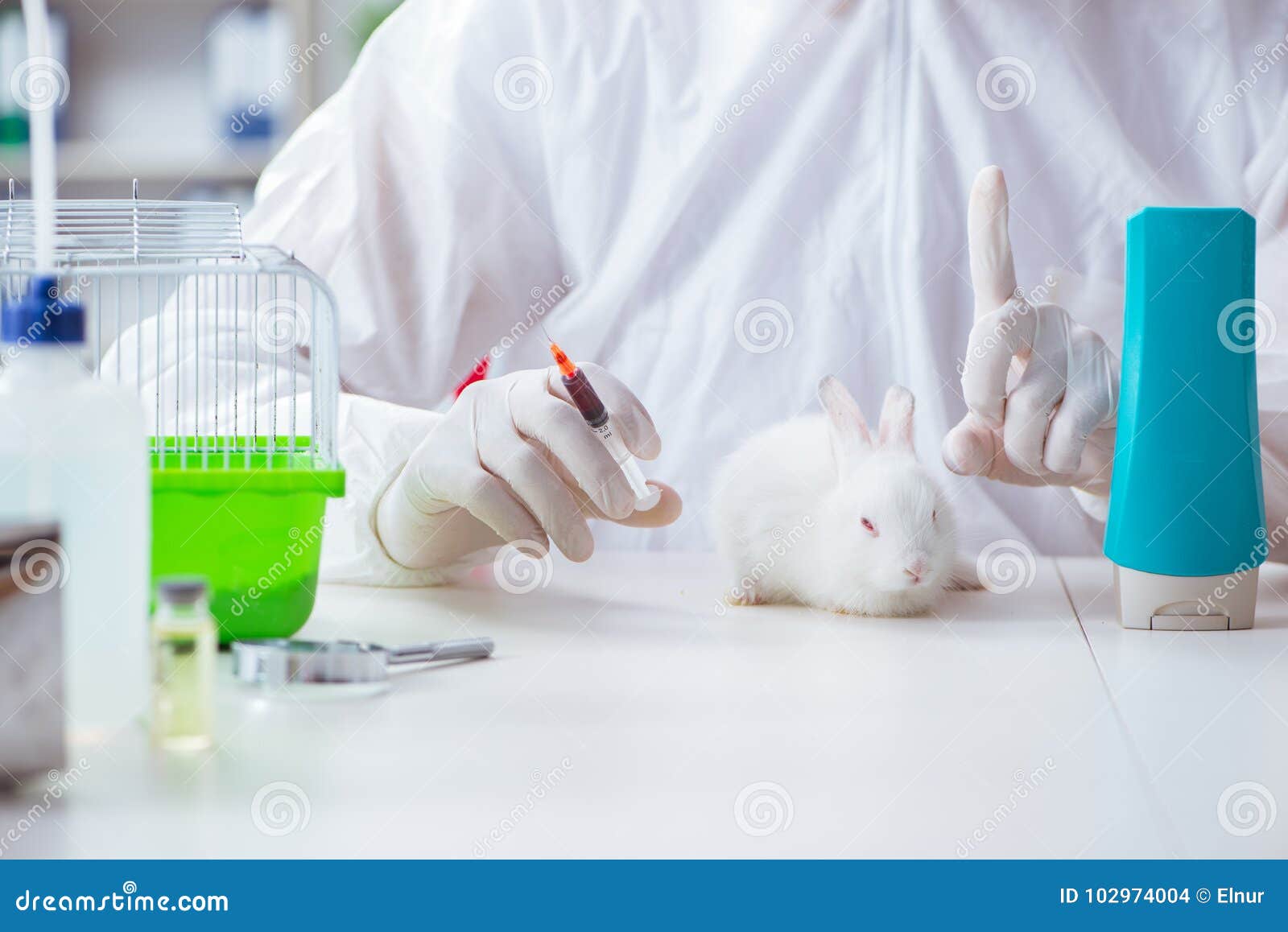 El Conejo Blanco En El Experimento Científico Del Laboratorio Foto de ...
