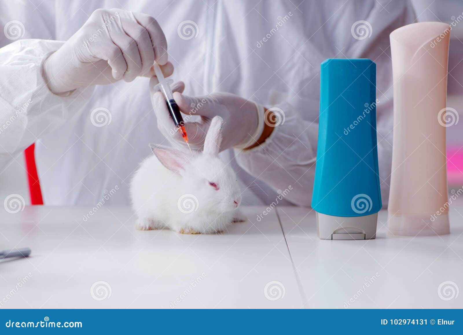 El Conejo Blanco En El Experimento Científico Del Laboratorio Imagen de ...