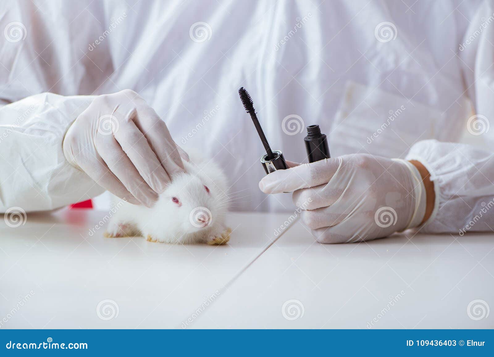El Conejo Blanco En El Experimento Científico Del Laboratorio Imagen de ...