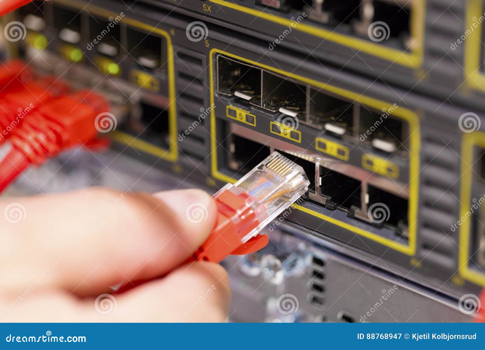 El Consultor De Las TIC Conecta Un Cable De La Red En El Interruptor En ...