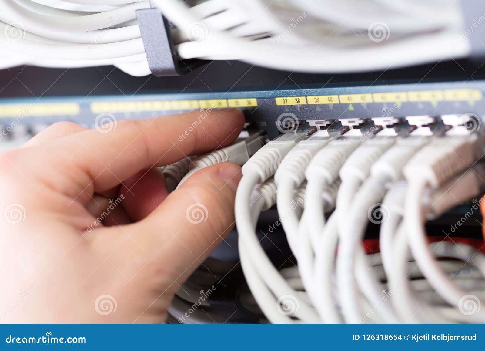 El Consultor De Las TIC Conecta Un Cable De La Red En El Interruptor En ...