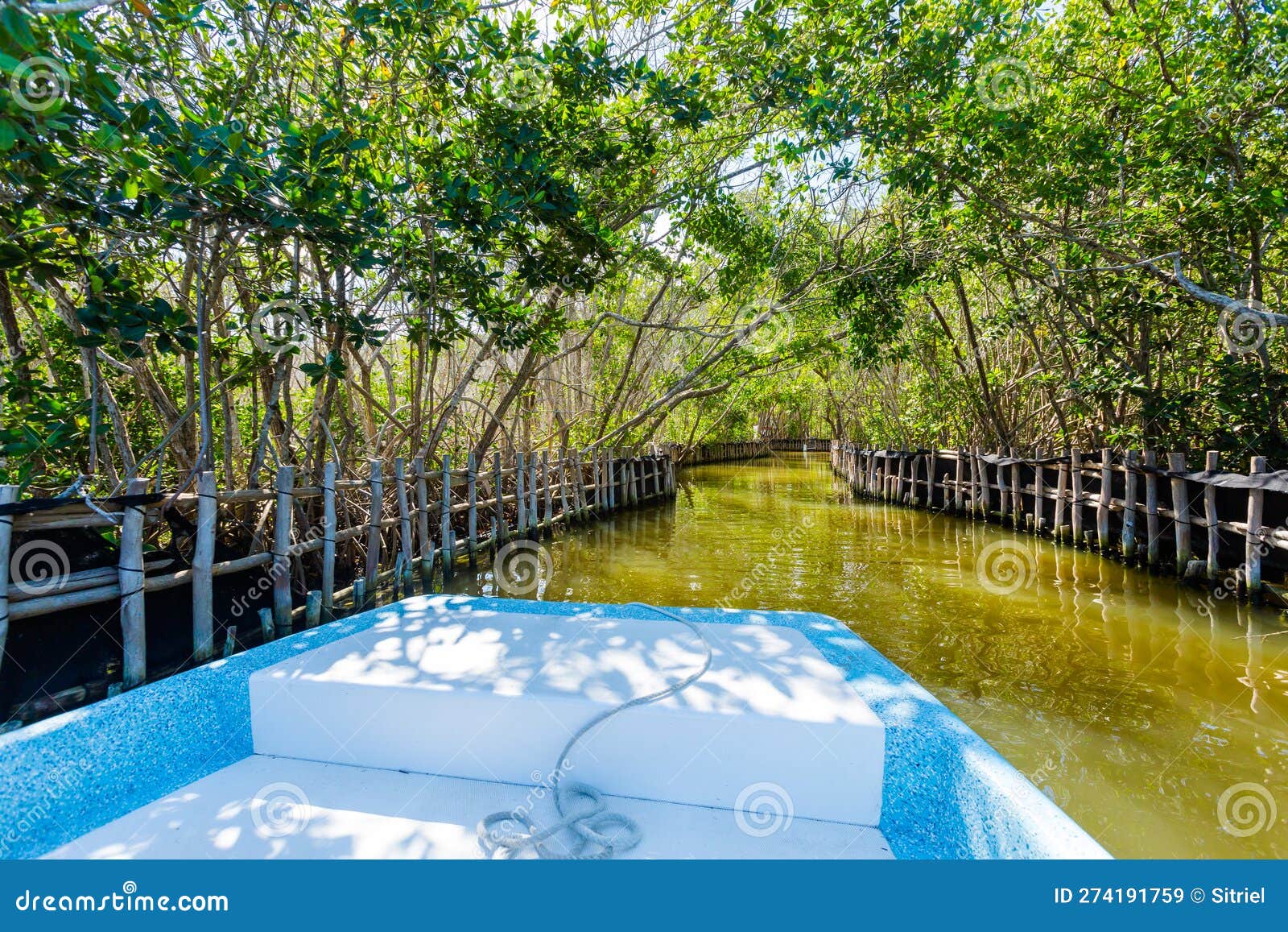 El Corchito Ecological Reserve Mexico Stock Image - Image of boat ...
