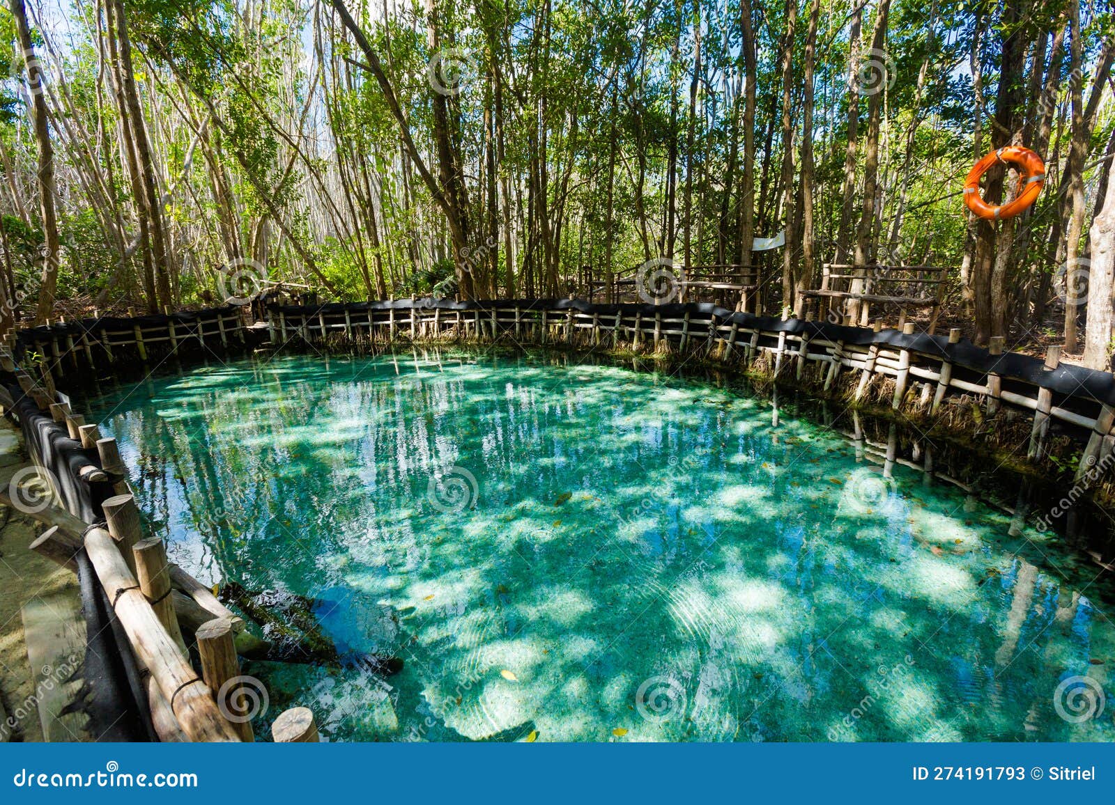 El Corchito Ecological Reserve Mexico Stock Image - Image of reserve ...