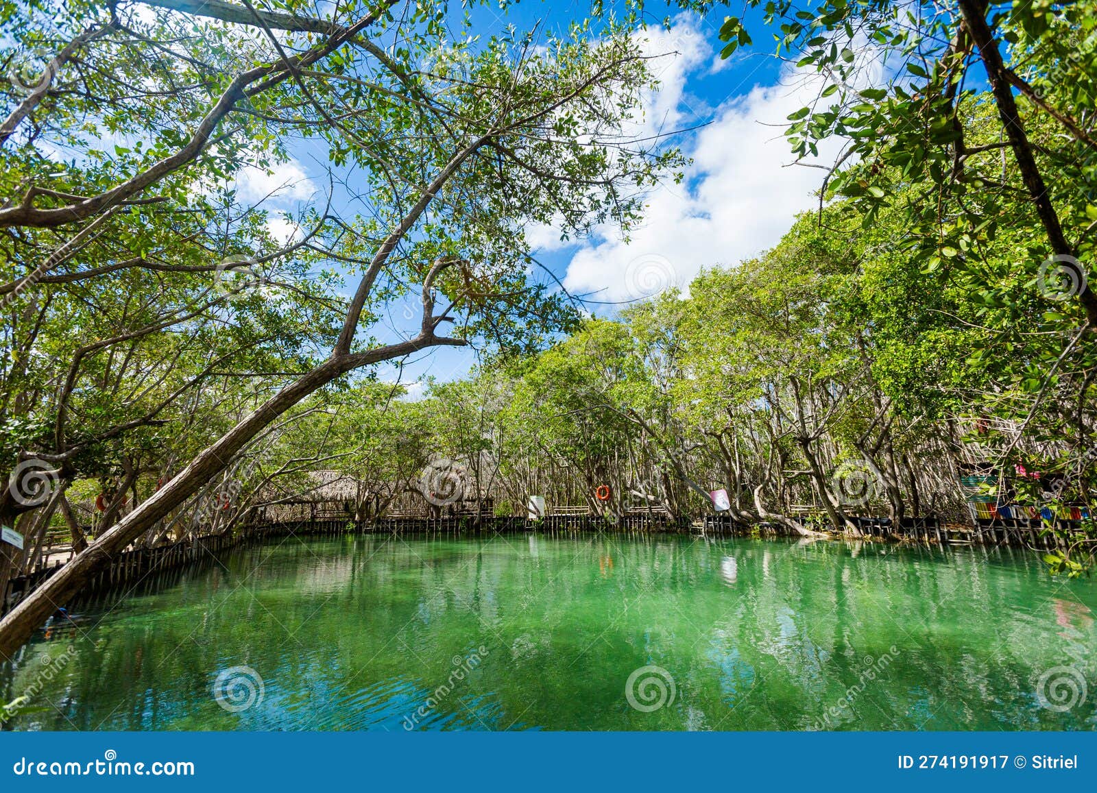 El Corchito Ecological Reserve Mexico Stock Image - Image of peninsula ...