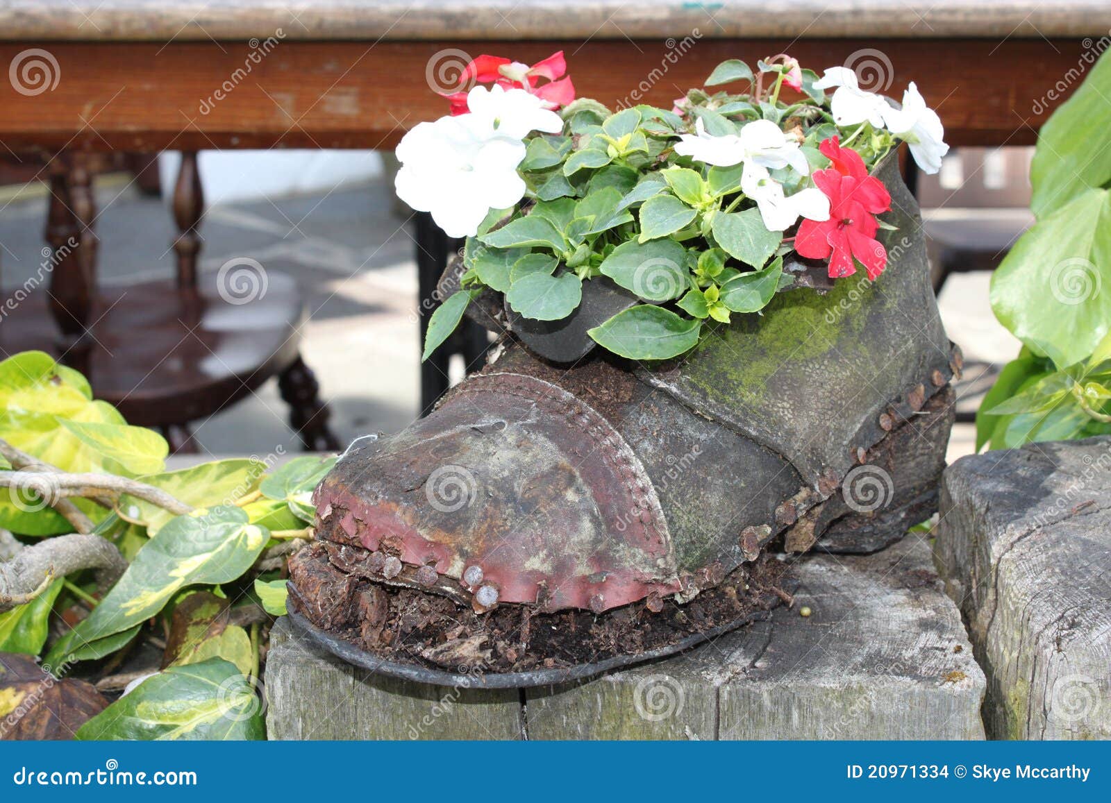 El Cultivar Un Huerto Creativo Foto de archivo - Imagen de encantador ...