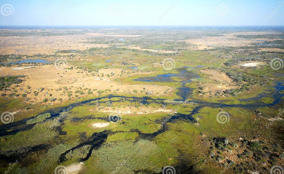 El delta africano 2 foto de archivo. Imagen de planeta - 7244618