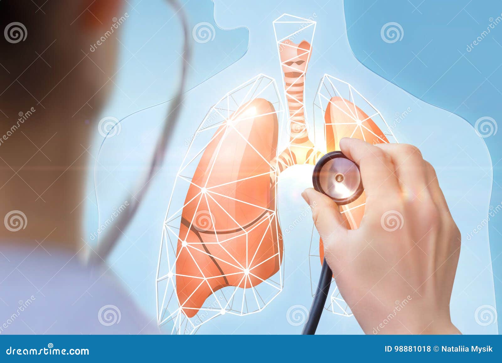 El Doctor Escucha El Modelo De Pulmones Humanos Foto de archivo ...