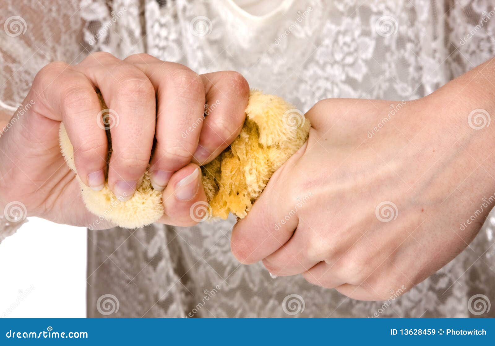 El exprimir de la esponja imagen de archivo. Imagen de housewife - 13628459