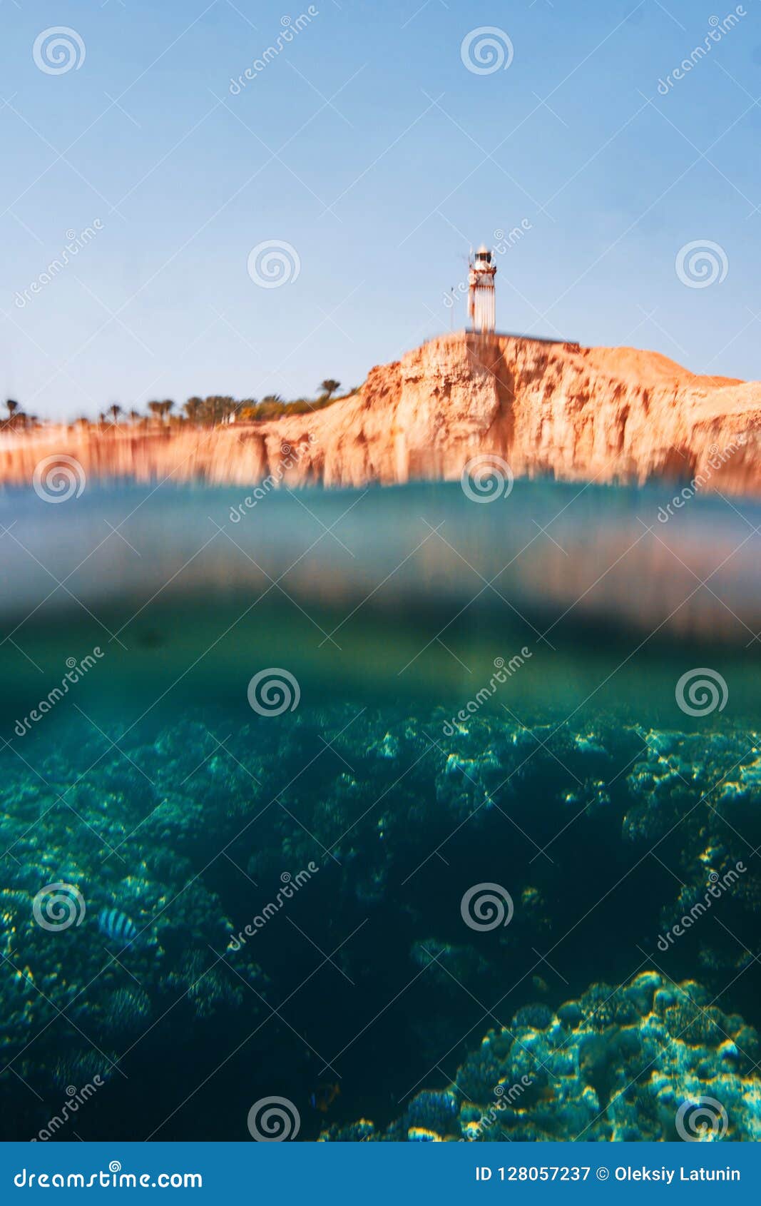 El fanar. coral reef stock image. Image of light, depth - 128057237